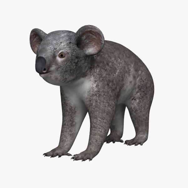 koala 3d 3ds