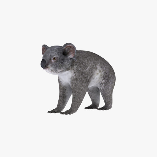 koala 3d 3ds