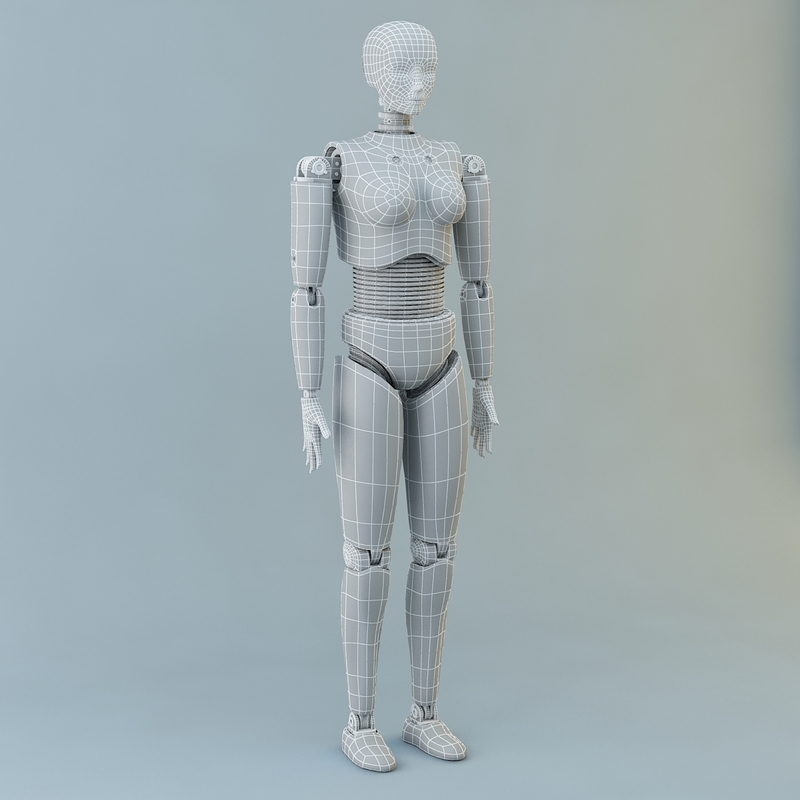 crash dummy female