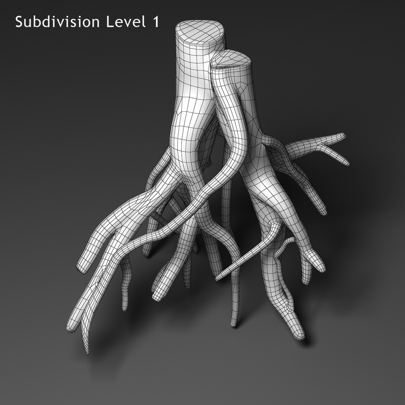 tree roots 3d model