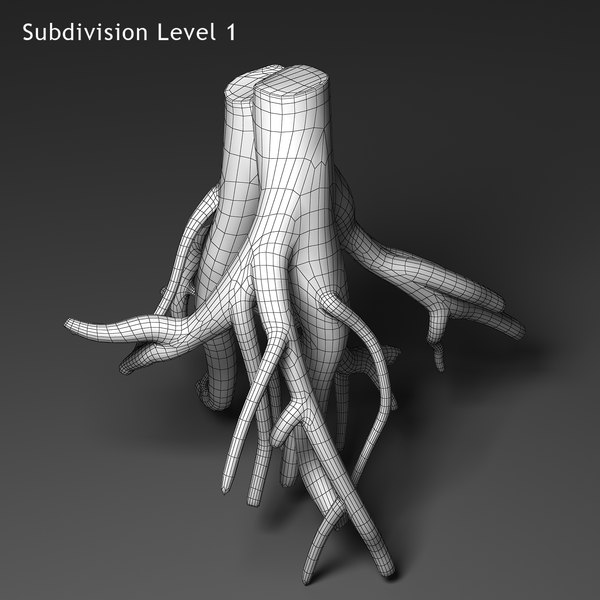 tree roots 3d model
