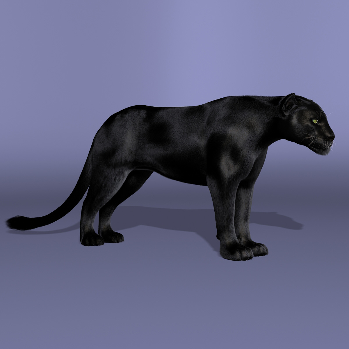 3d obj black panther fur