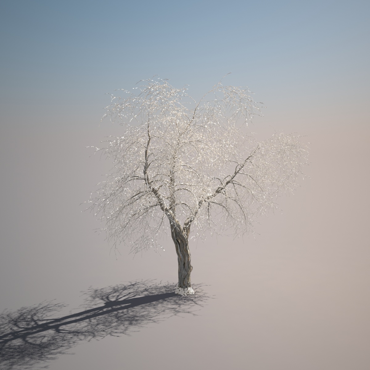 winter deciduous tree 3d model