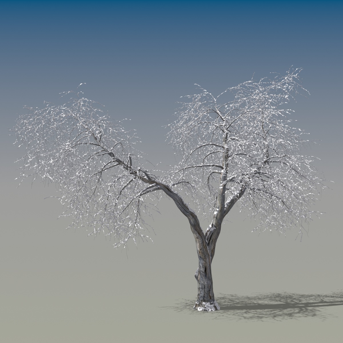 winter deciduous tree 3d model