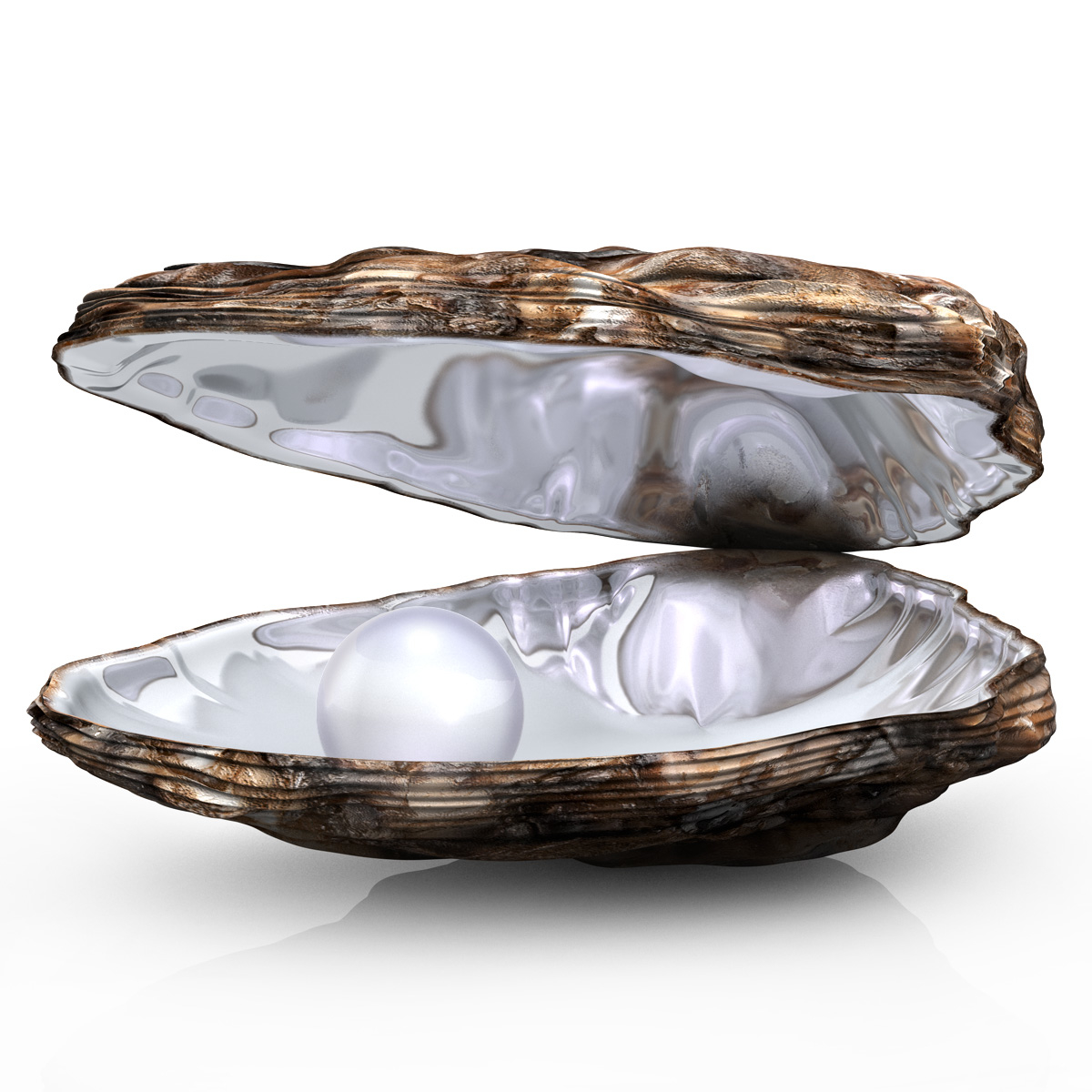 modeled oyster pearl 3d 3ds