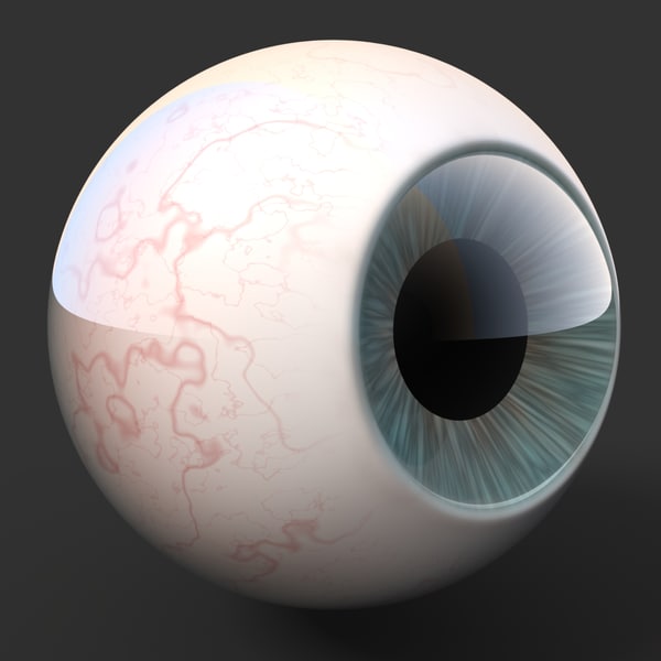 3d model realistic human eye
