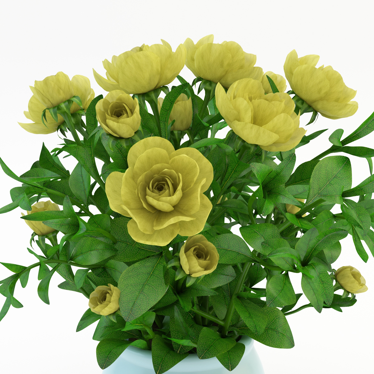 gardenia yellow 3d obj