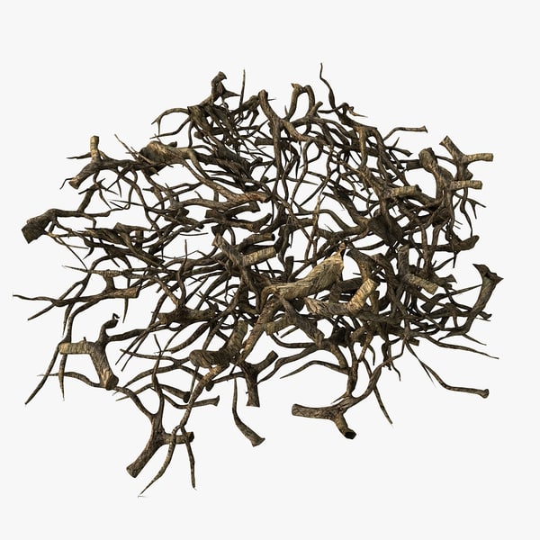 tree roots 3d model
