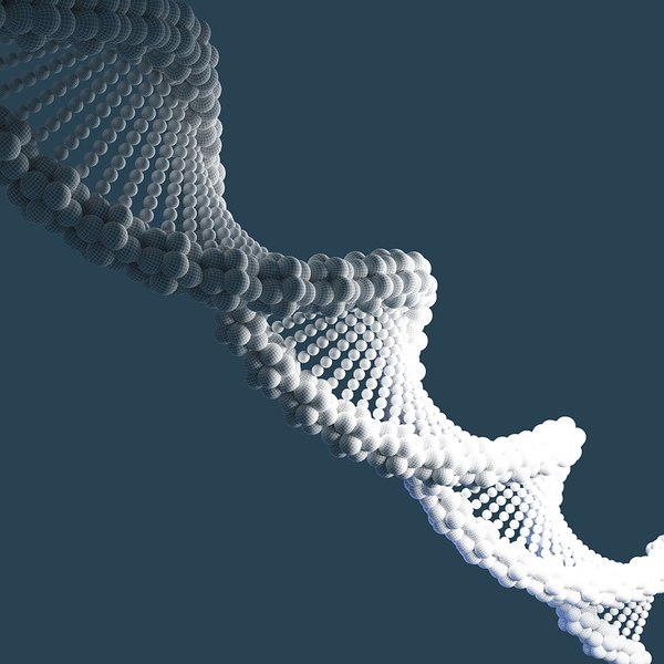 dna 3d model