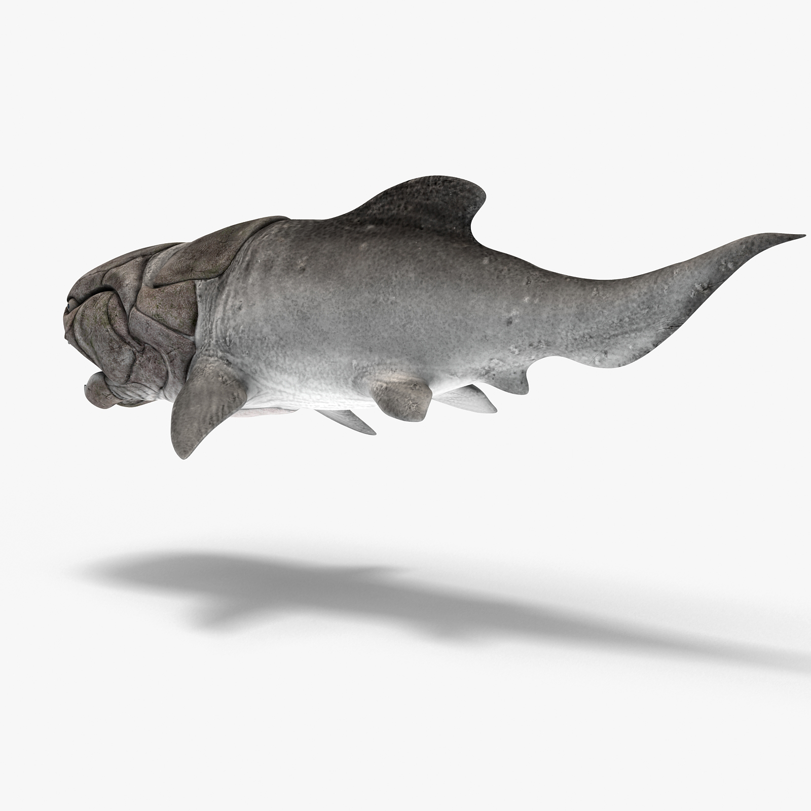 max dunkleosteus fishes devonian