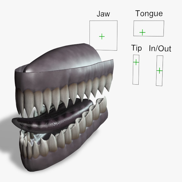 rigged teeth 3d model