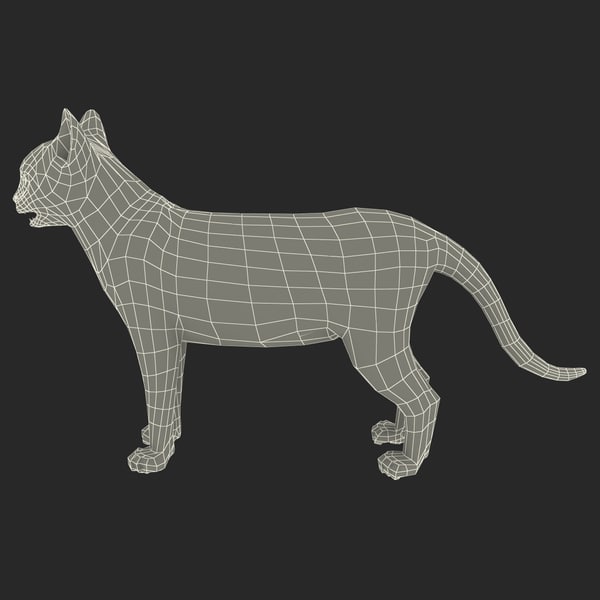 3ds cat 3