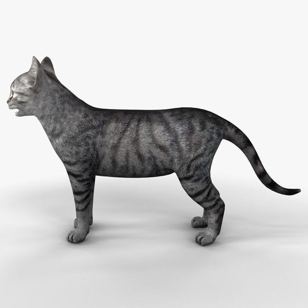 3ds cat 3