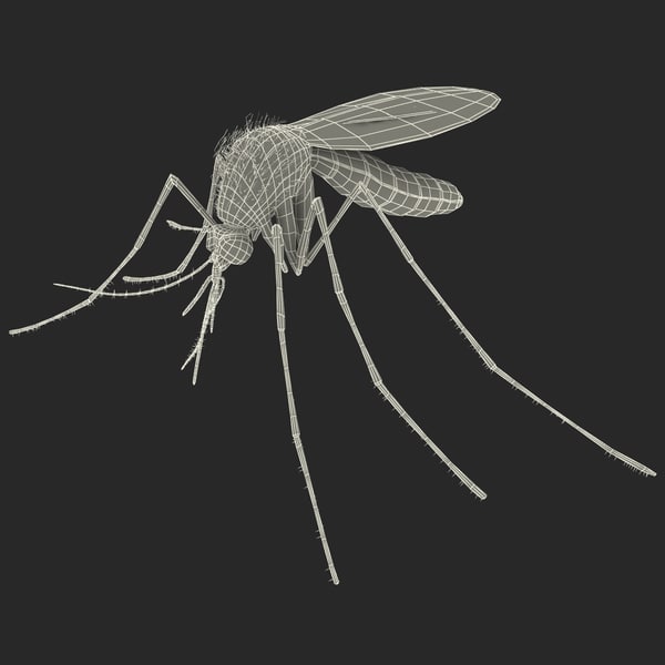 mosquito nature 3d model
