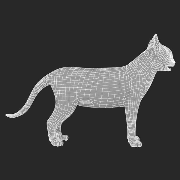 3d model cat 3 fur