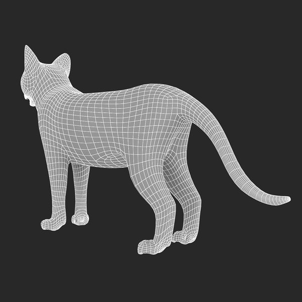 3d model cat 3 fur