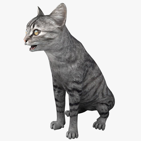 Cat Furry 3D Models for Download | TurboSquid