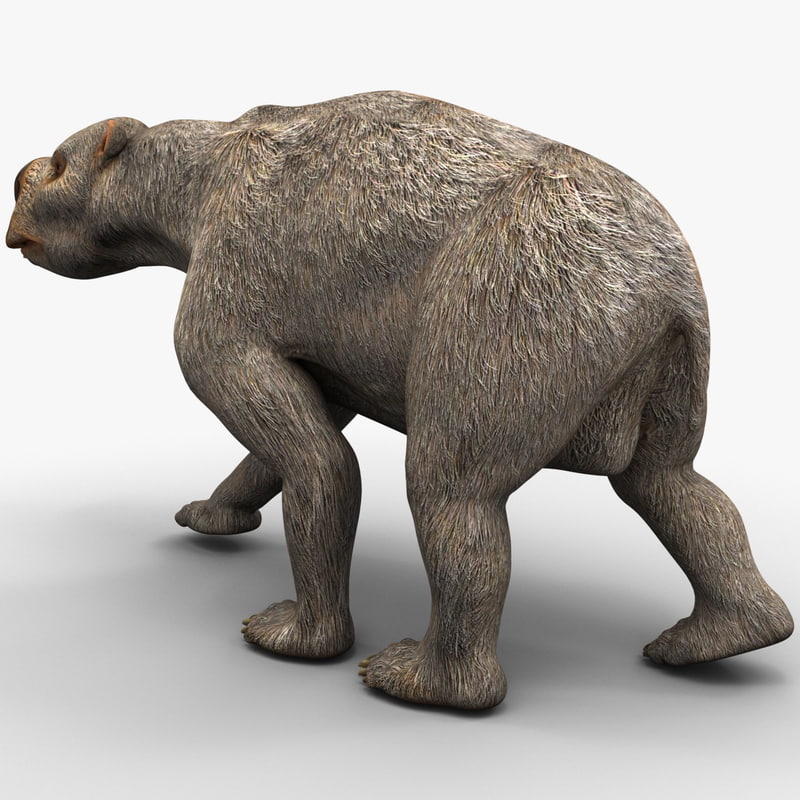 3ds max diprotodon rigged