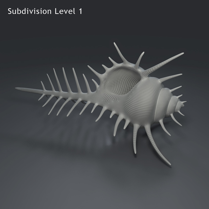 3d model shell
