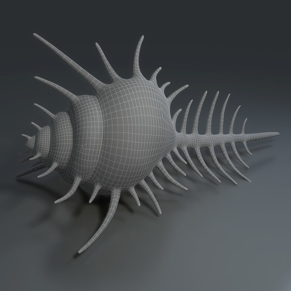 3d model shell