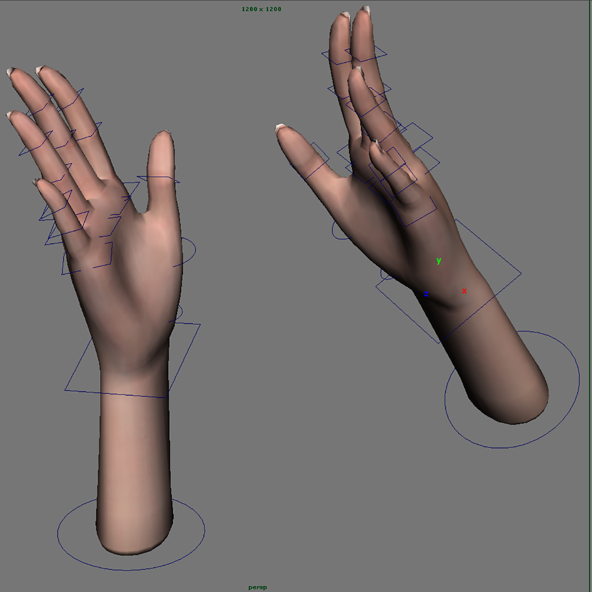 3d rigged female hand realistic 3d rigged female hand realistic