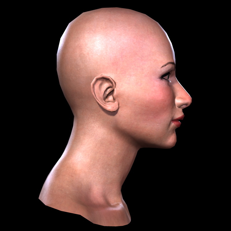 3d model woman head