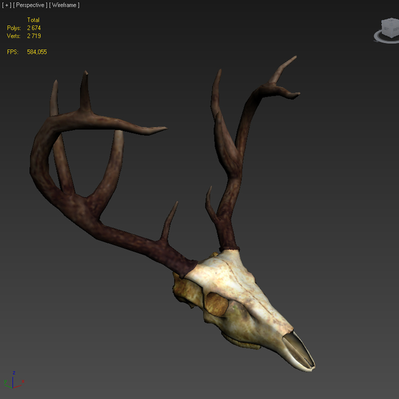3d model deer skull