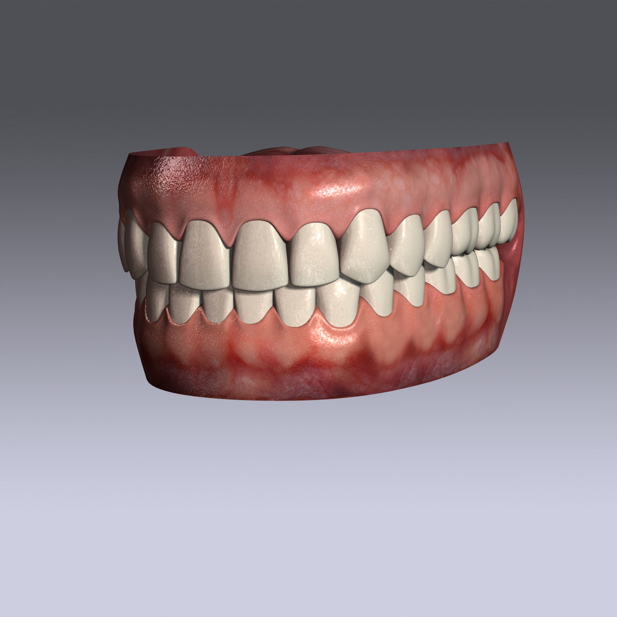 3d model human jaw