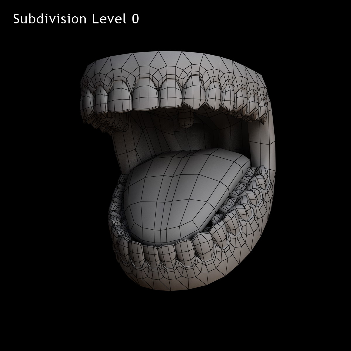 3d model human jaw