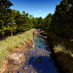 Free 3D Forest Models | TurboSquid