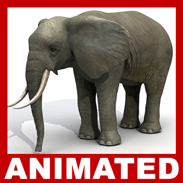 max elephant rigged polys animation