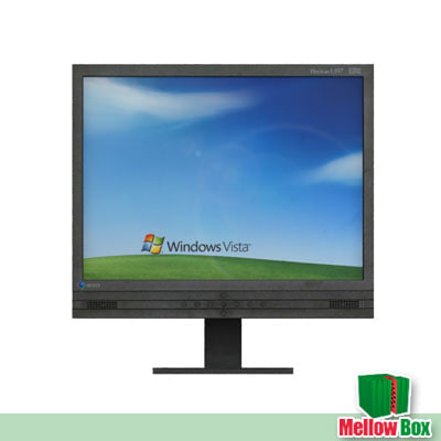3d eizo lcd screen model