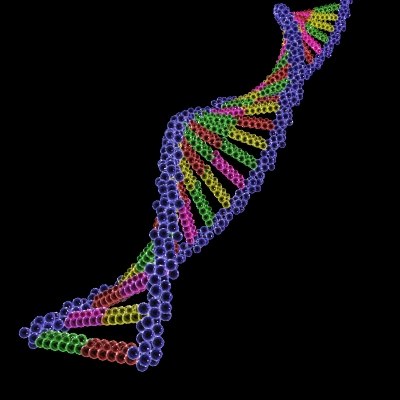dna helix 3d model