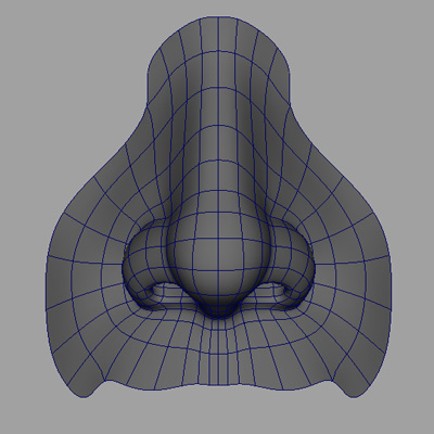 3d nose
