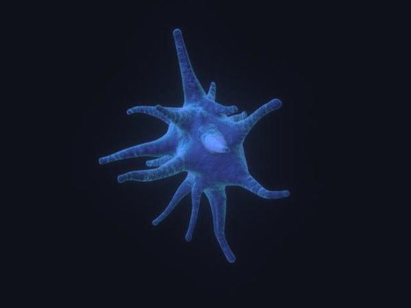 Amoeba 3D Models for Download | TurboSquid