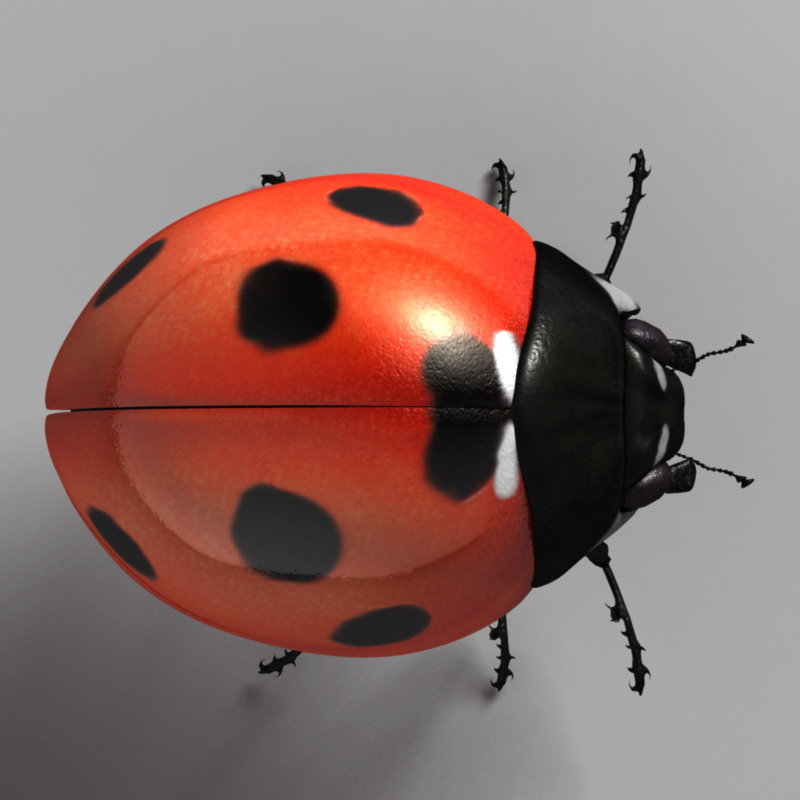 ladybug bump 3d model