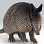 nine-banded armadillo 3d model