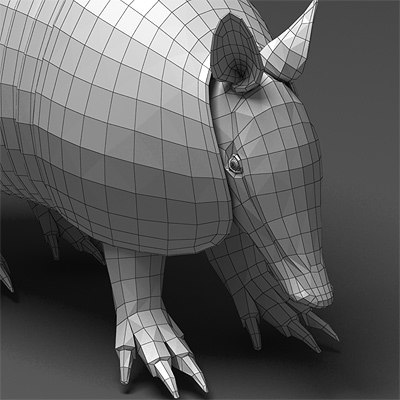 nine-banded armadillo 3d model