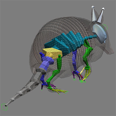 nine-banded armadillo 3d model