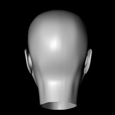 human female head reference 3d model