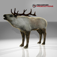 3dmax reindeer deer