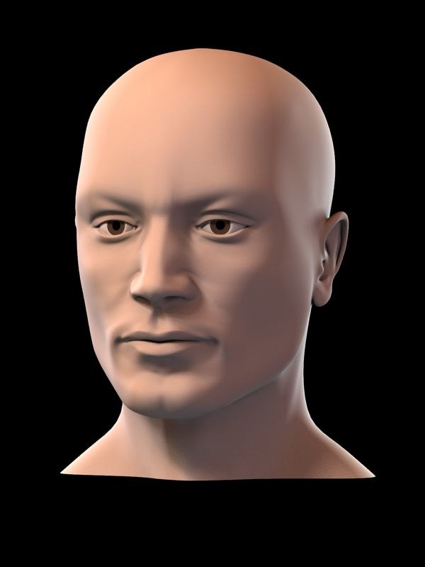3d model generic head