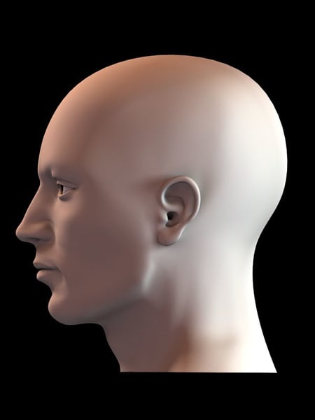 3d model generic head