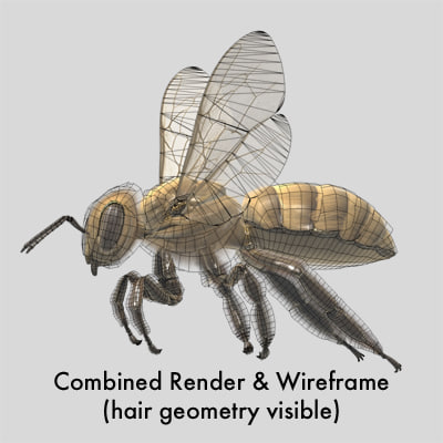 3ds max honey bee