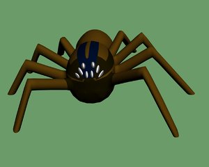 Free 3D Spider Models | TurboSquid