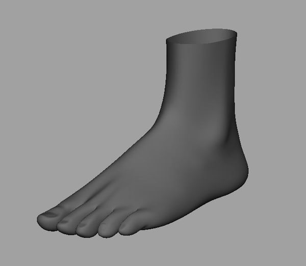 realistic foot 3d model