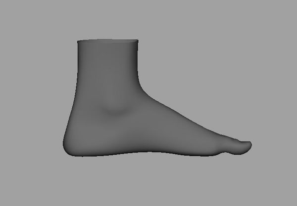realistic foot 3d model