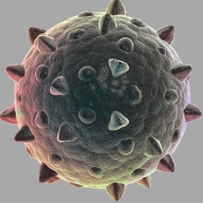 3d model of pollen spore