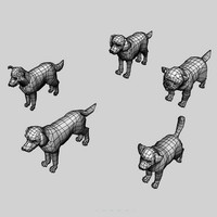 3d rigged dogs pug model