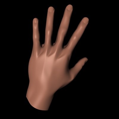3d man hand model